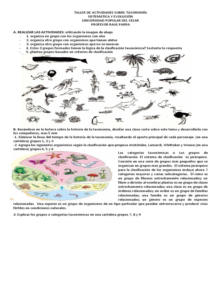 Taller de Actividades Sobre Taxonomía | PDF | Taxonomía (biología ...