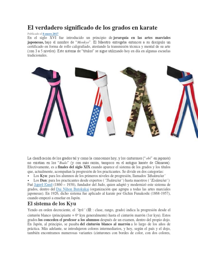 El Verdadero Significado de Los Grados en Karate | Kárate | Artes ...