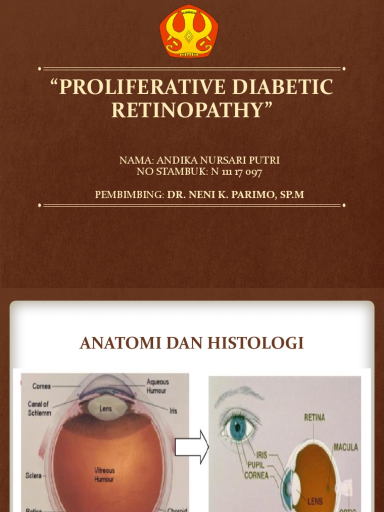 Retinopati Diabetik | PDF