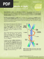 ASH 2024 Guidelines for Iron Deficiency Anemia | PDF | Anemia ...