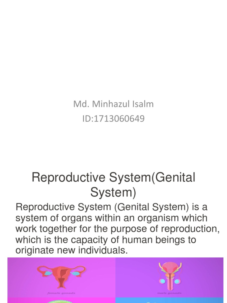 Md. Minhazul Isalm ID:1713060649 | PDF