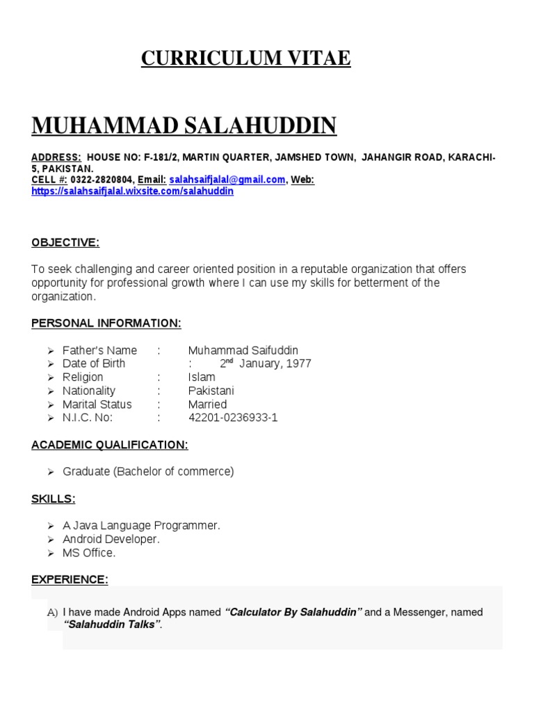 Muhammad Salahuddin: Curriculum Vitae | PDF | Educational Stages | Learning