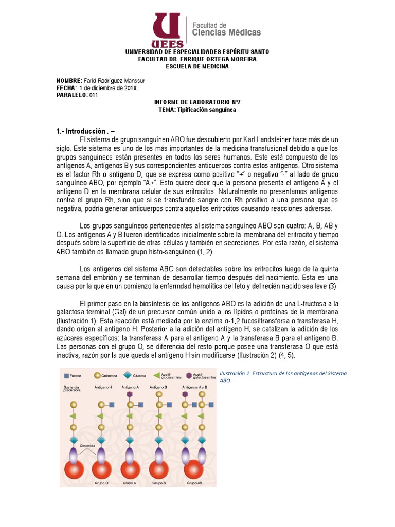Práctica 7 - Tipificación Sanguínea | PDF | Tipo de sangre | Tejido (biología)