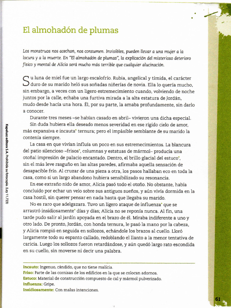 El Almohadón de Plumas, de Horacio Quiroga (con Actividades) | PDF