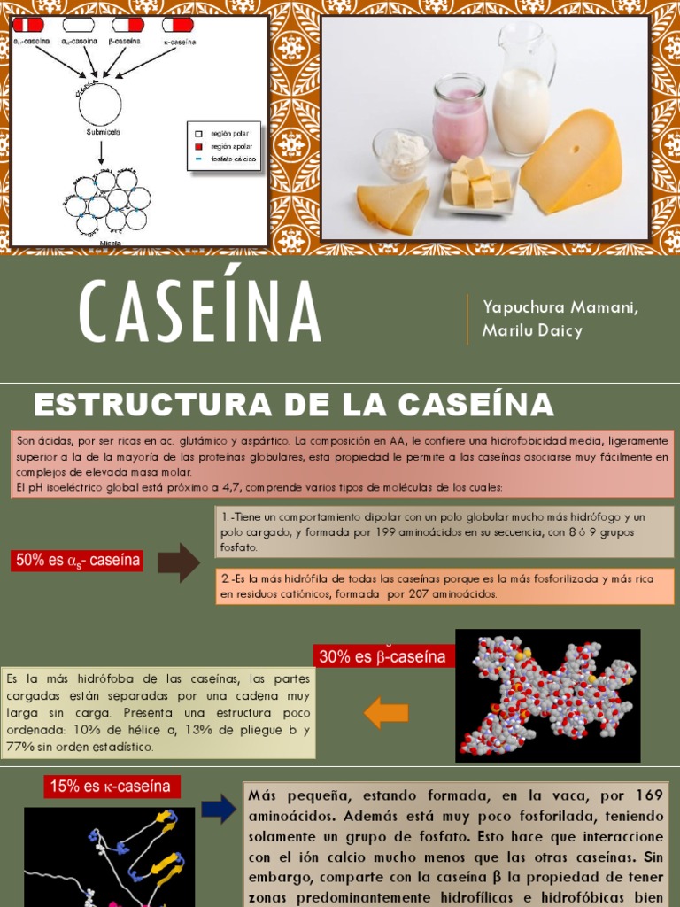 CASEÍNA | PDF | Nutrientes | Biología estructural
