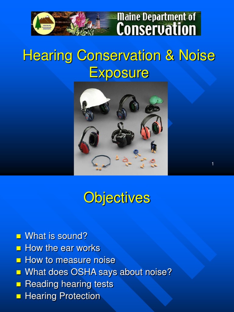 Hearing Conservation & Noise Exposure | PDF | Hearing | Noise