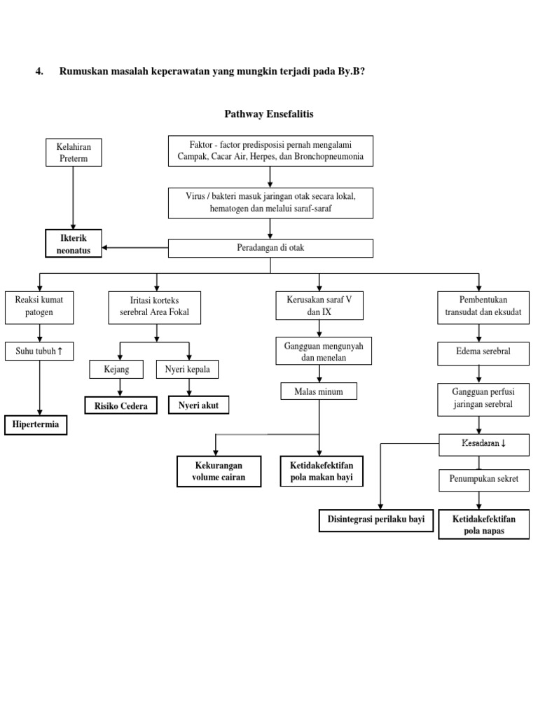 Masalah Keperawatan Ensefalitis | PDF