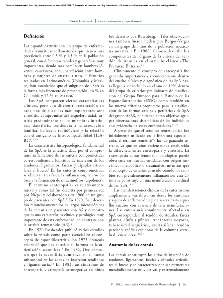 ENTESITIS | PDF | Hueso | Tendón
