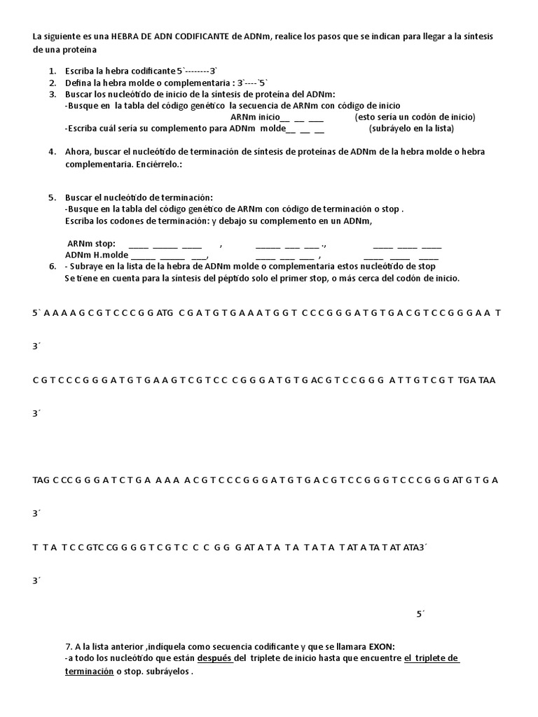 La Siguiente Es Una HEBRA DE ADN CODIFICANTE de ADNm Biologia | PDF ...