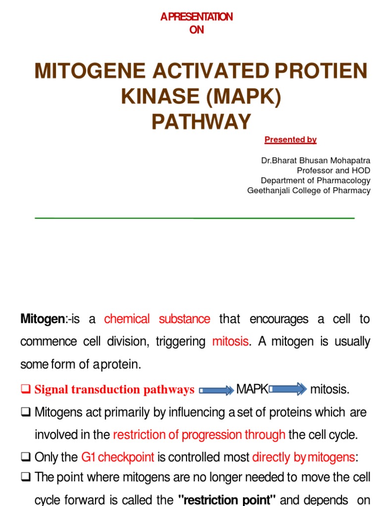 Mitogene Activated Protien Kinase (Mapk) Pathway: A Presentation ON ...