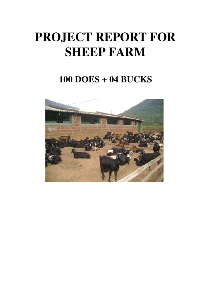 Project Report For Sheep Farm: 100 Does + 04 Bucks | PDF | Internal ...