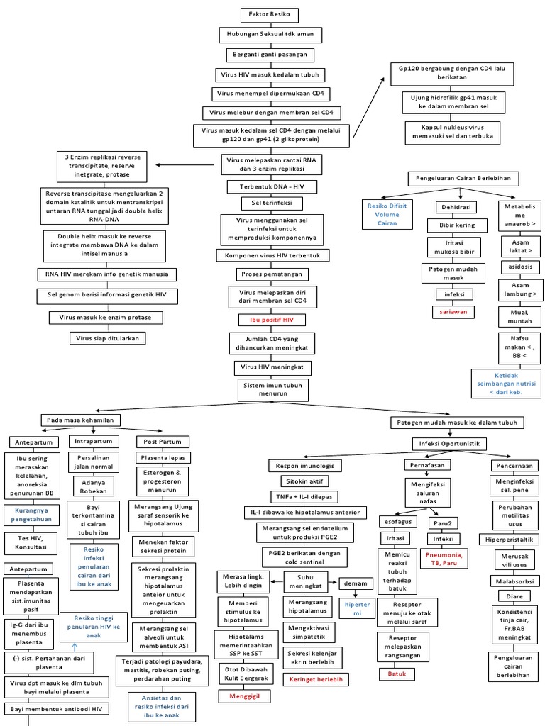 Pathway HIV Ibu Hamil