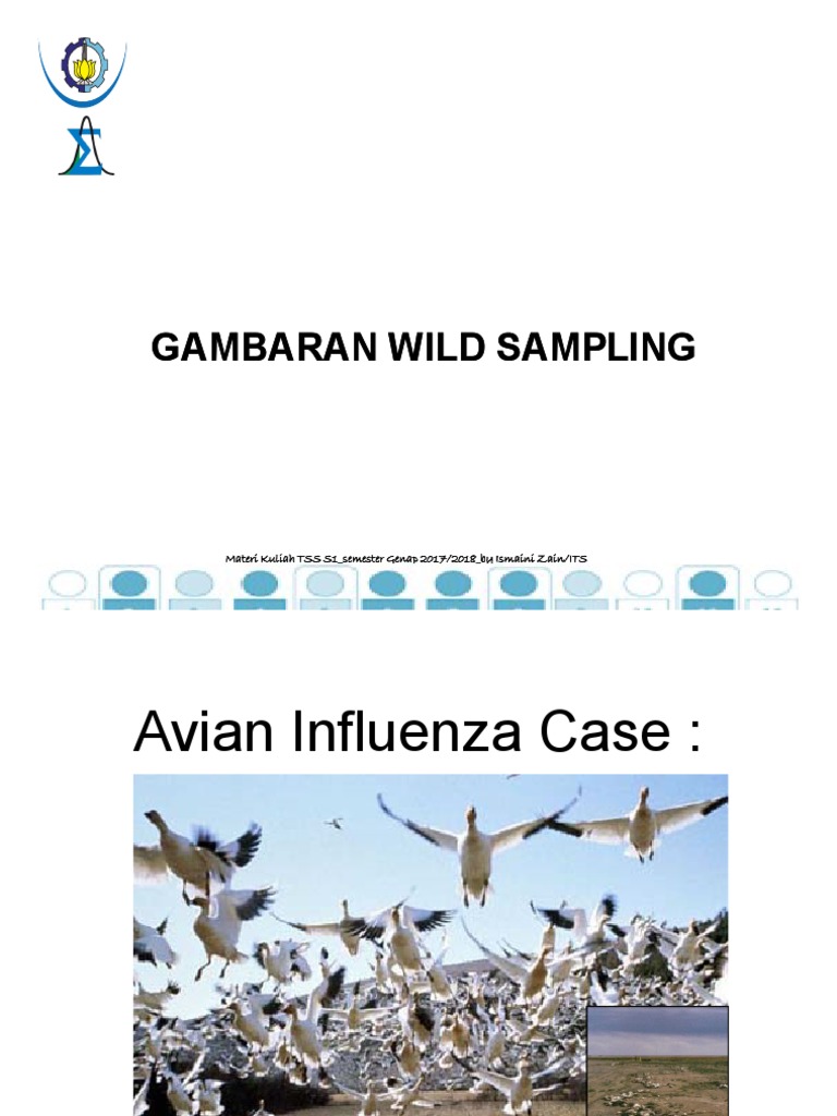 Gambaran Wild Sampling | PDF
