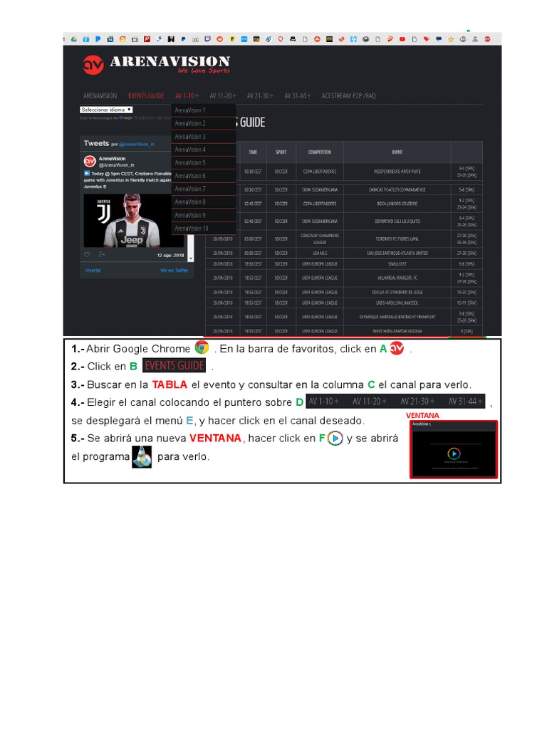 Guía ARENAVISION | PDF