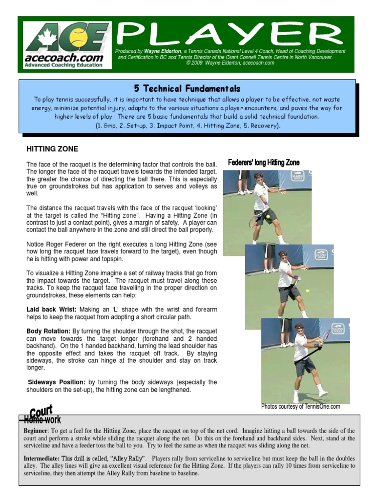 Hitting Zone ACE | PDF | Games Of Physical Skill | Individual Sports