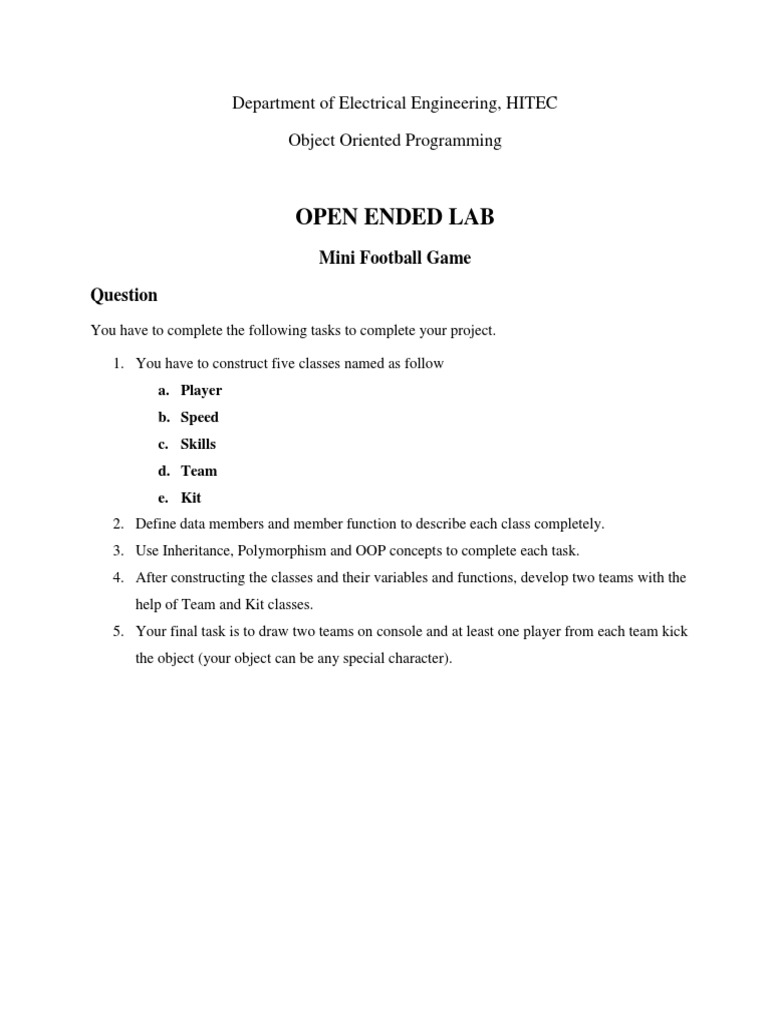 OOP Lab Project | PDF