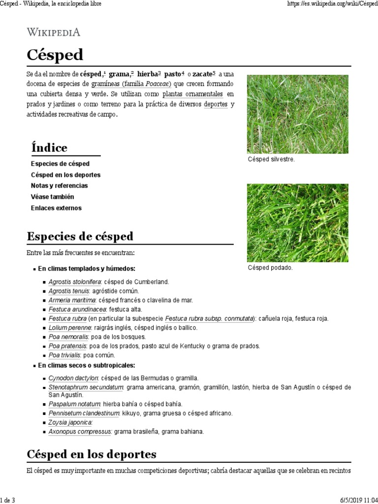 cesped | Botánica | Plantas