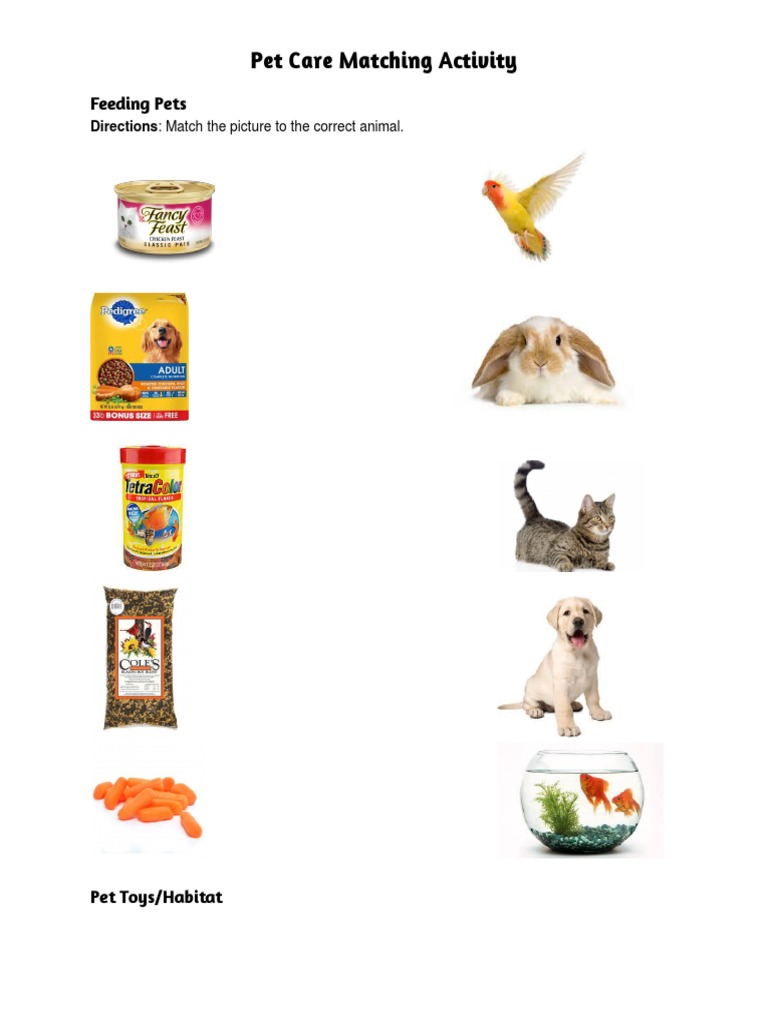 Pet Care Matching Activity Guide | PDF
