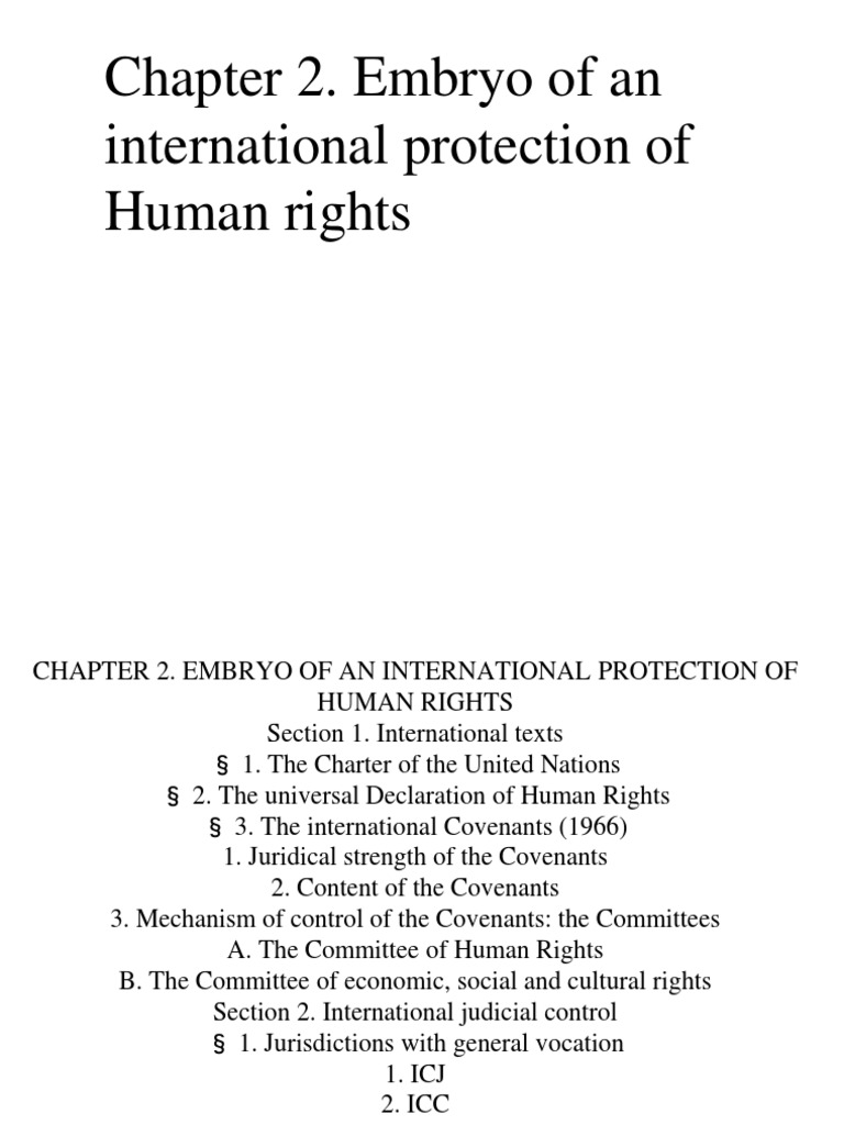Embryo International Protection | PDF | International Law ...