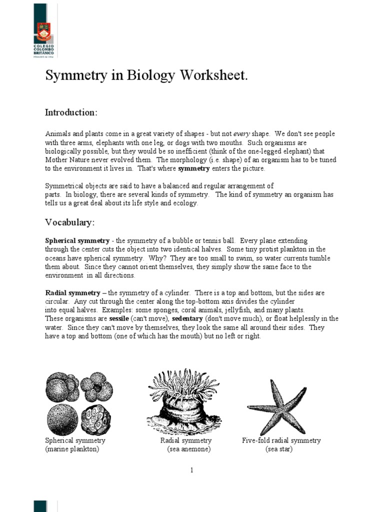 Spherical Symmetry In Animals