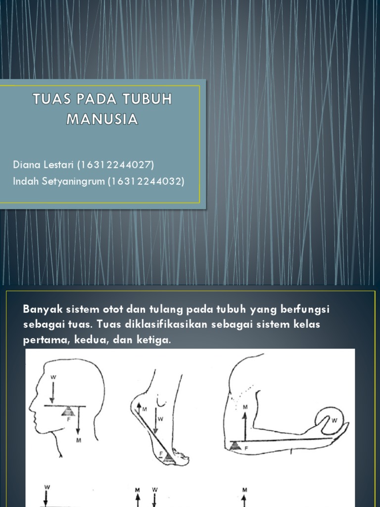 BIOFISIKA Fix (Tuas Pada Tubuh Manusia) | PDF | Sains & Matematika
