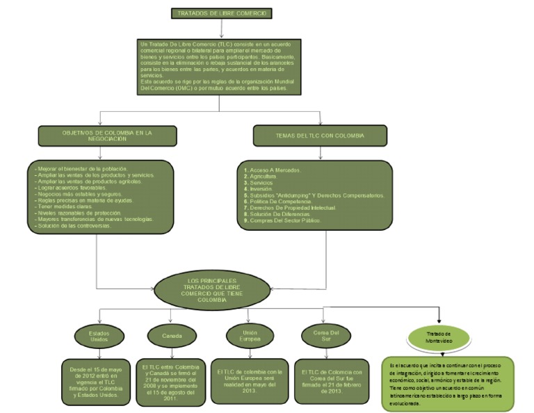 Mapa Conceptual TLC 1 | PDF
