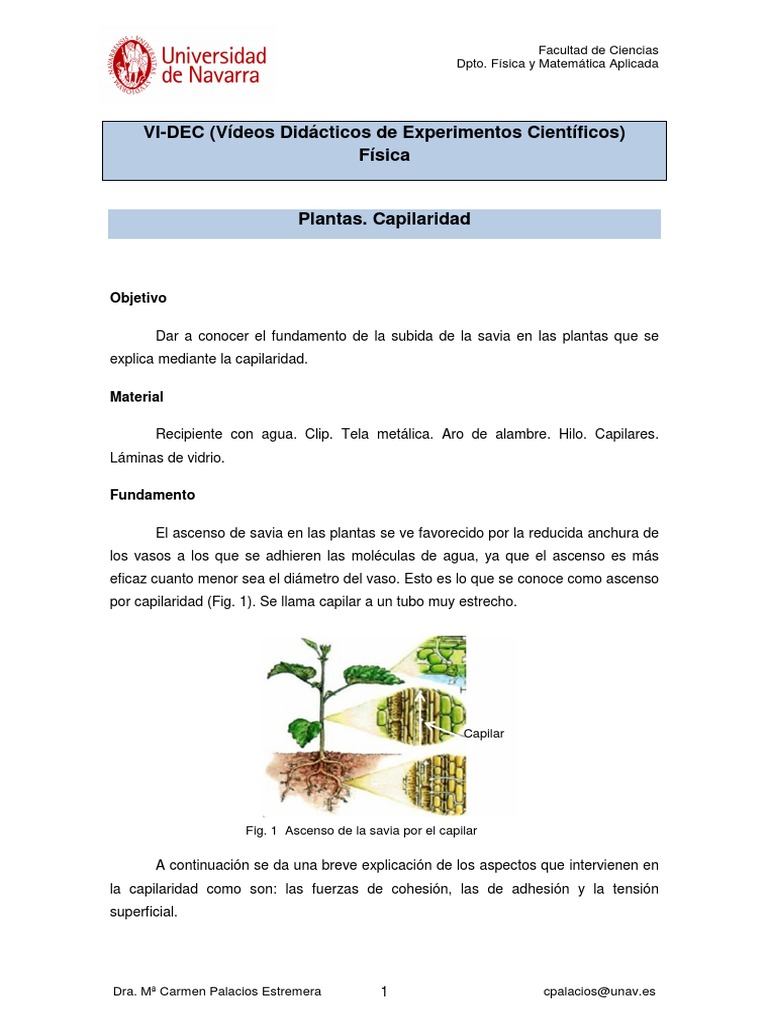 f20 Plantas Capilaridad | PDF | Tensión superficial | Líquidos