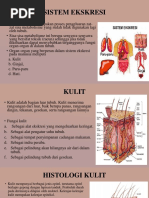 Makalah Hemoglobin | PDF | Sains & Matematika