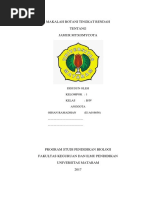 Ciri dan Klasifikasi Jamur Oncom | PDF