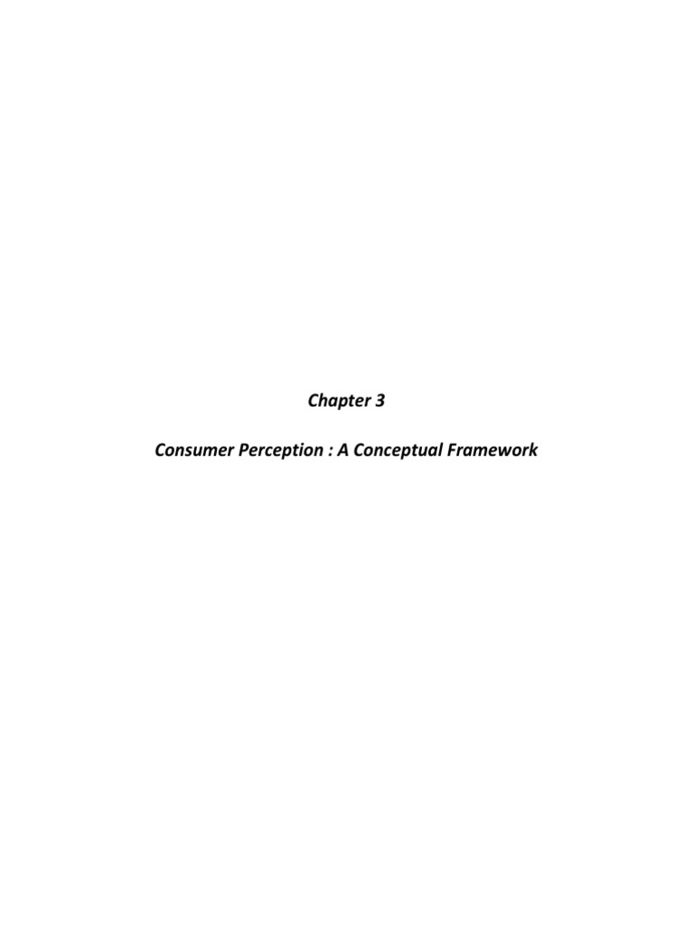 Consumer Perception: A Conceptual Framework | PDF | Perception | Brand