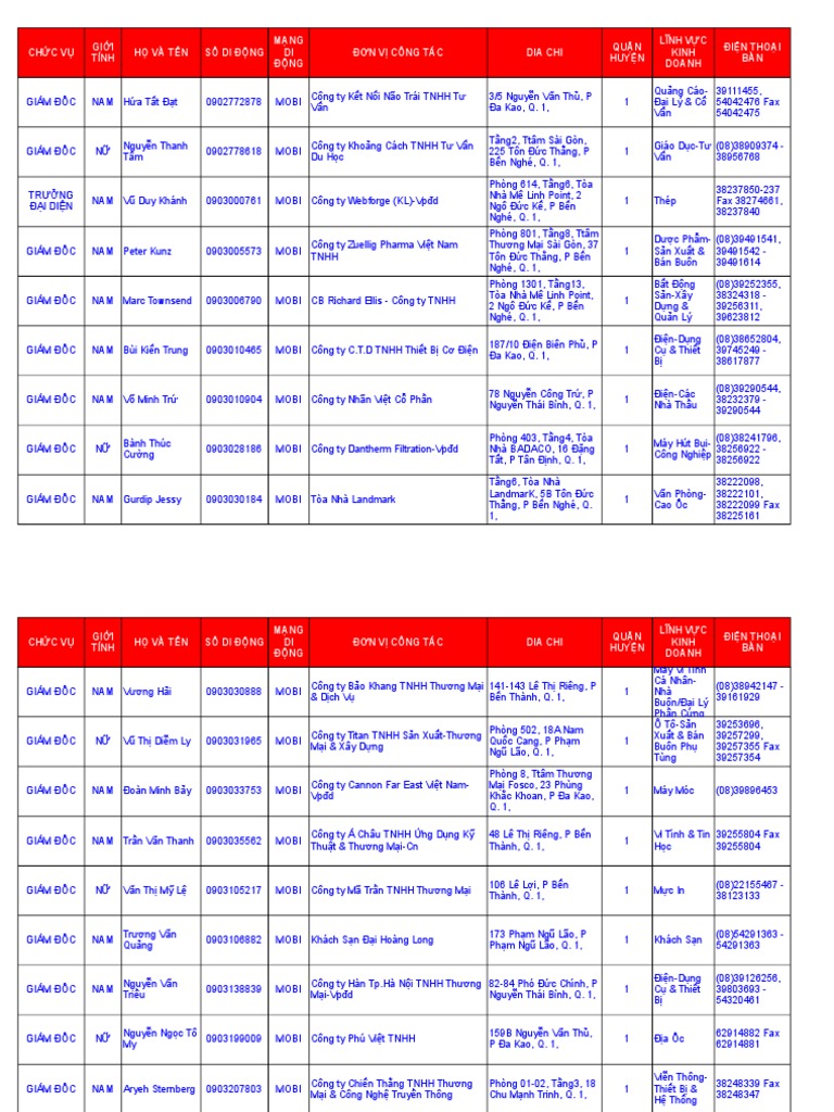 Danh Sach 5.700 Giam Doc Tai TPHCM | PDF