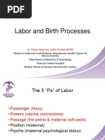 Puqe Index Assessment | PDF