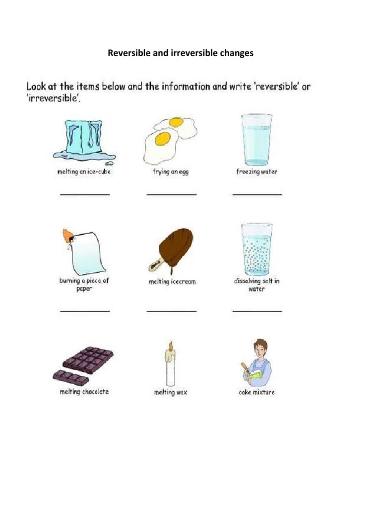 Reversible And Irreversible Changes Fact Sheet Free Reversible And