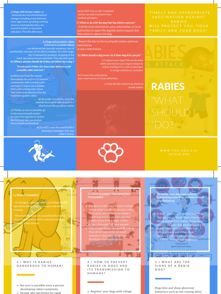 Brochure For Rabies | PDF | Rabies | Animals And Humans