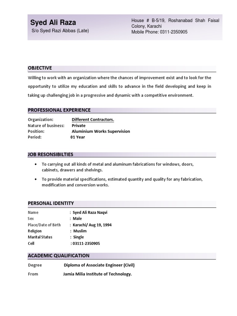 Curriculum Vitae of Mr. Ali Raza | PDF