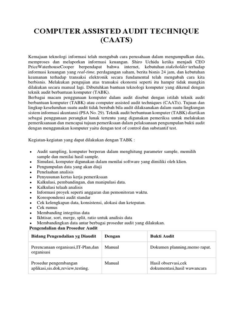 Computer Assisted Audit Techniques (CAATS) | PDF