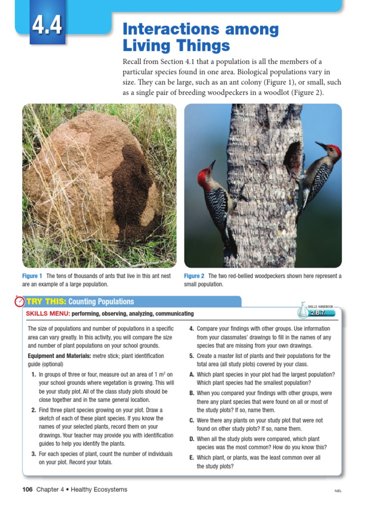 4.4 - Interactions Among Living Things PDF | PDF | Predation | Flowers