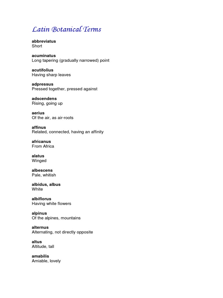 Latin Botanical Terms: Abbreviatus | PDF | Hobbies | Plants