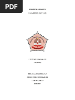Perbedaan Kapang dan Khamir dalam Fermentasi | PDF