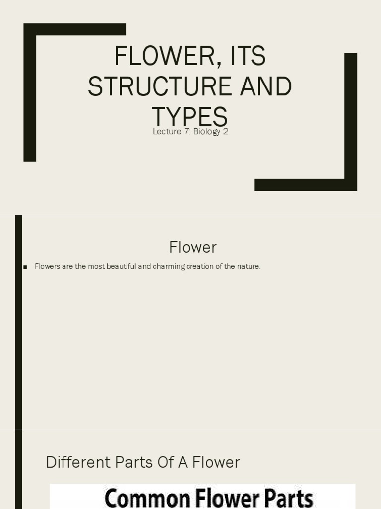 Flower, Its Structure and Types | PDF | Flowers | Petal