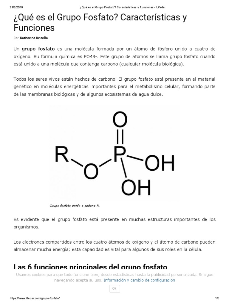 ¿Qué Es El Grupo Fosfato - Características y Funciones - Lifeder | PDF ...