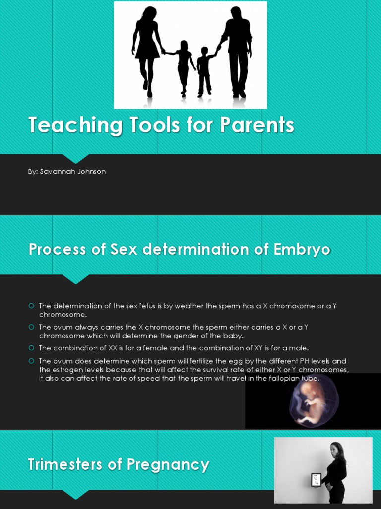 Teaching Tools For Parents | PDF | Pregnancy | Fetus