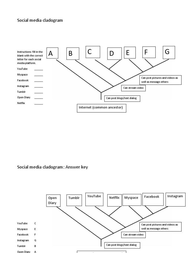 Cladogram Activity | PDF | Computers