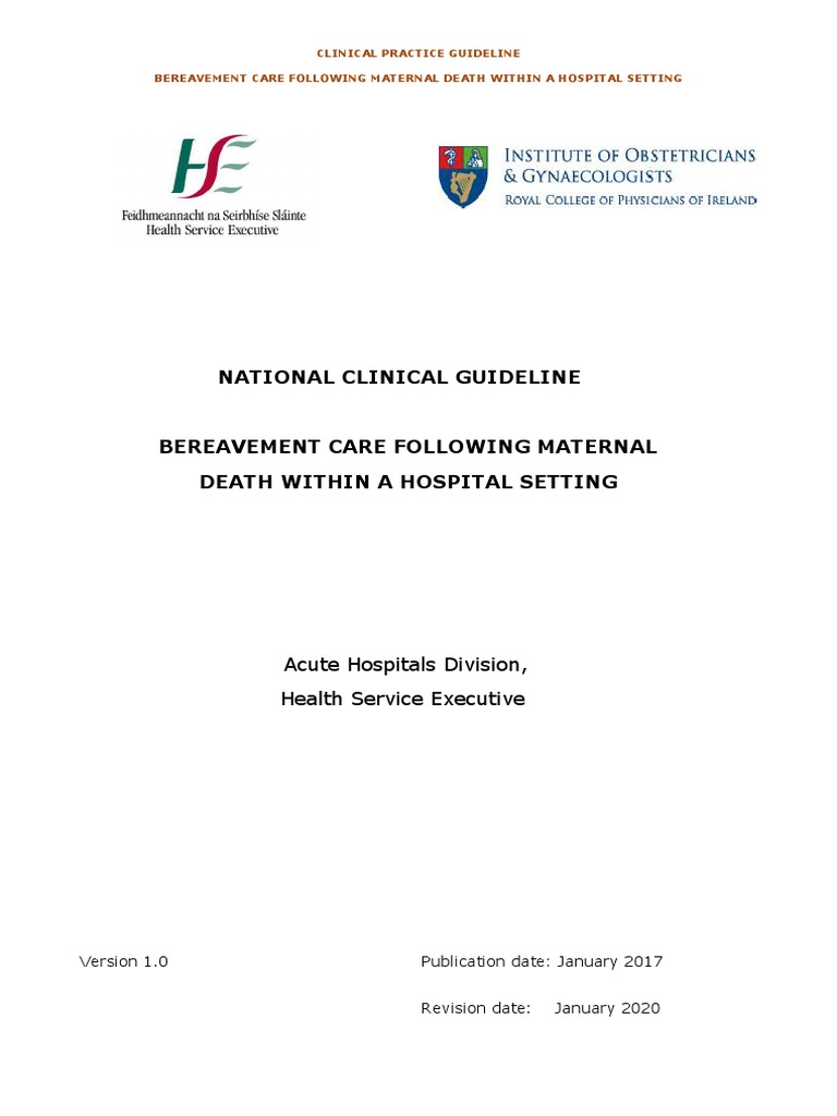 Bereavement Guideline | PDF | Grief | Maternal Death