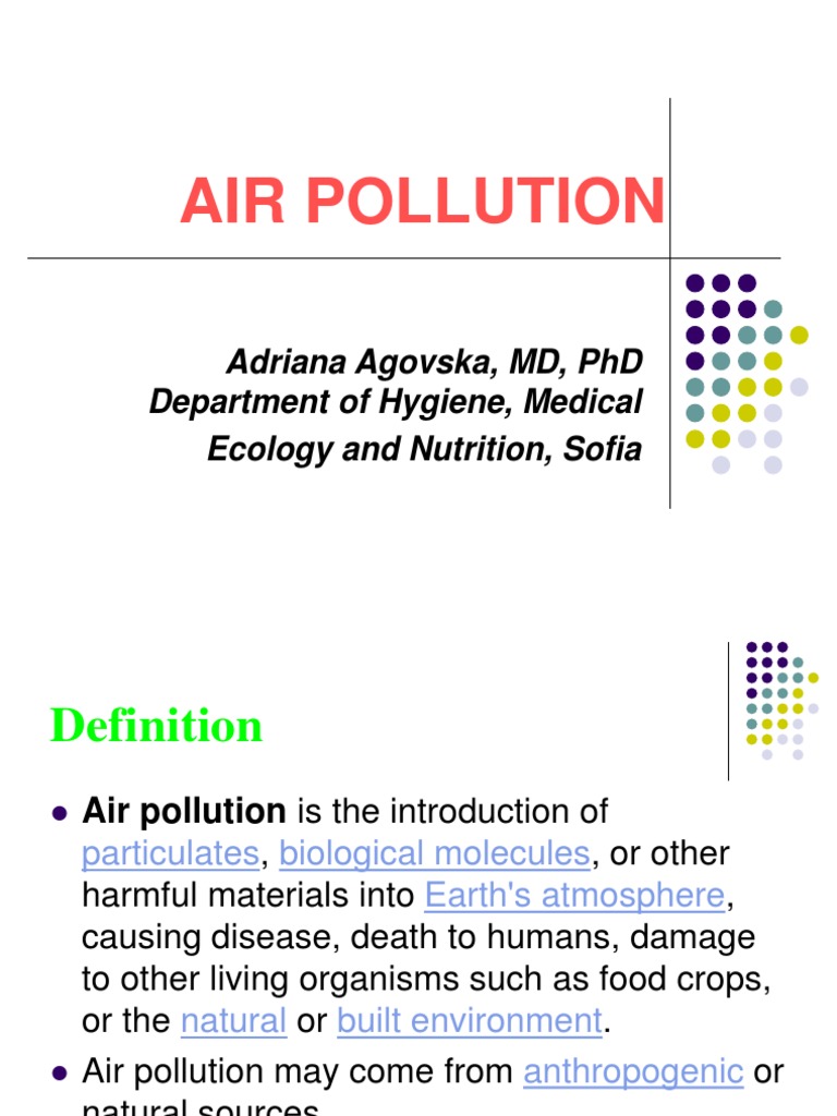 Understanding Air Pollution and Its Effects | PDF | Air Pollution ...