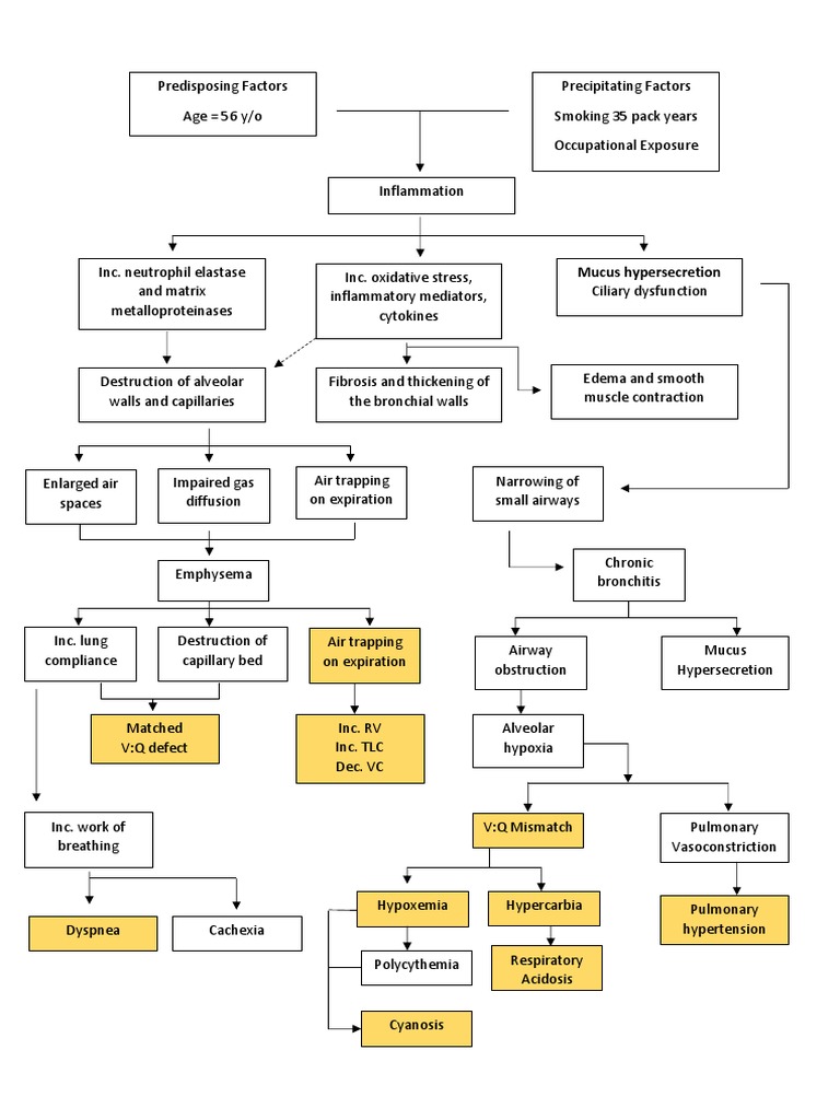 Copd Patho | PDF | Chronic Obstructive Pulmonary Disease | Respiratory ...