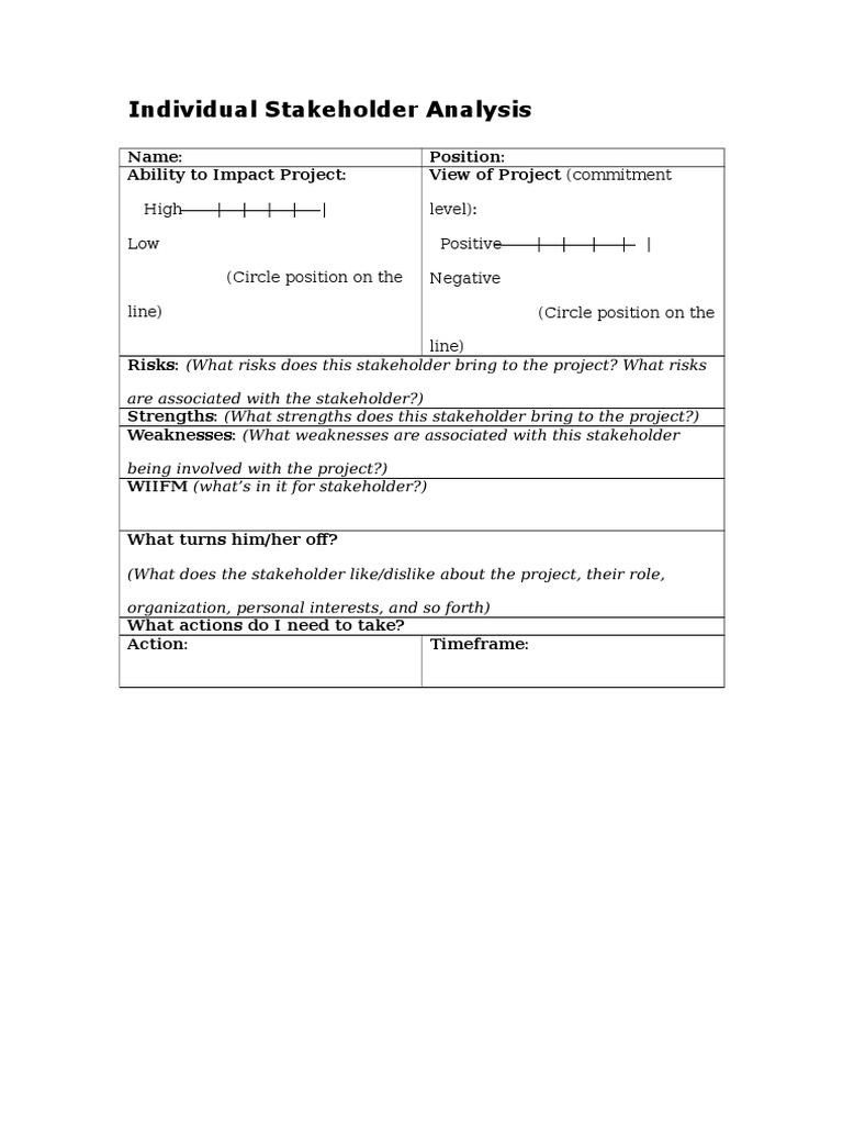 Individual Stakeholder Analysis | PDF