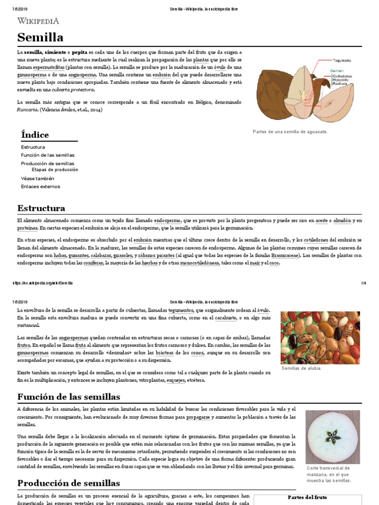 Semilla - Wikipedia, La Enciclopedia Libre | PDF | Semilla | Plantas