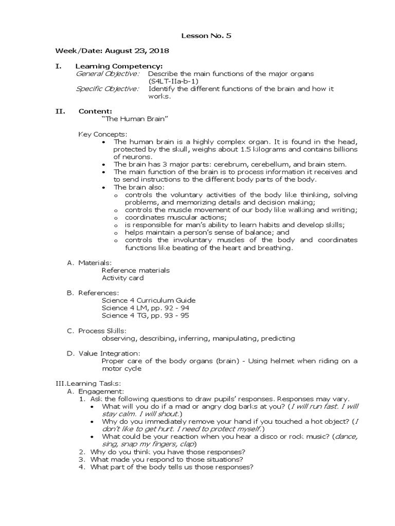 Lesson No.1 Observation | PDF | Human Brain | Brain