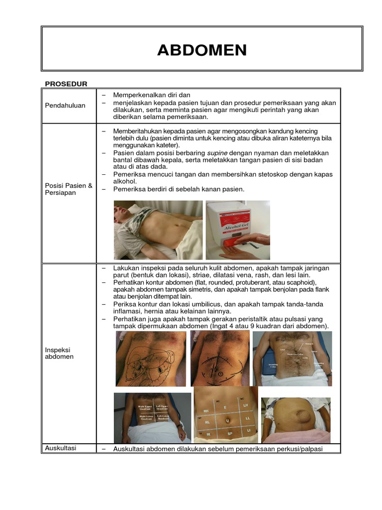 Checklist Pemeriksaan Abdomen | PDF